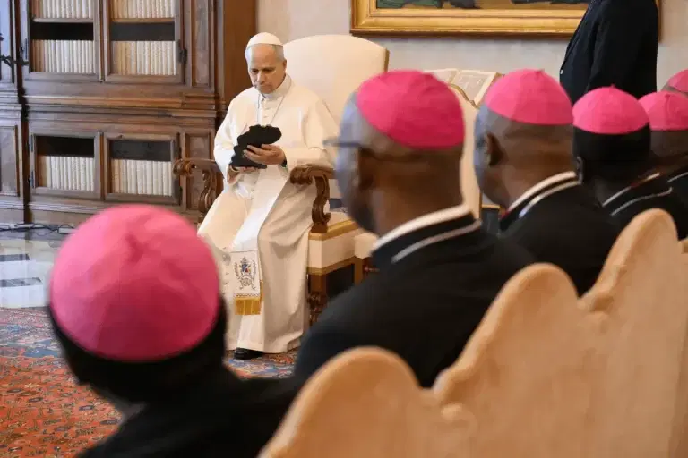 Pope Leo XIV Meets Second Group of Nigerian Bishops in Rome - Newday ...